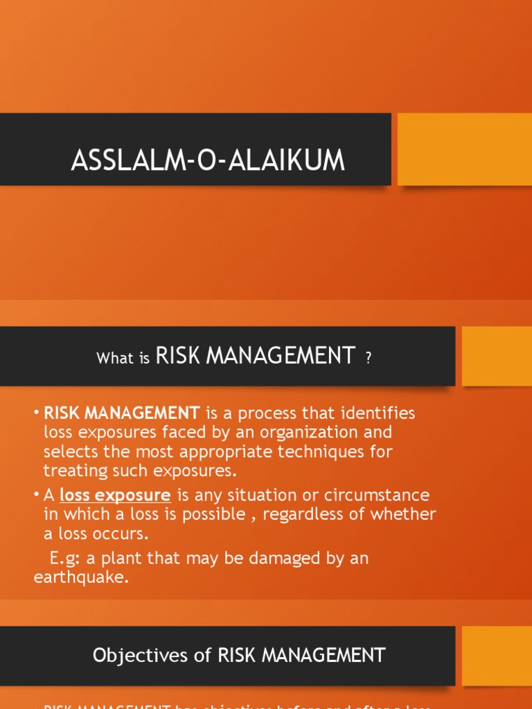 RISK Managments Activity Slide | PDF | Risk Management | Risk