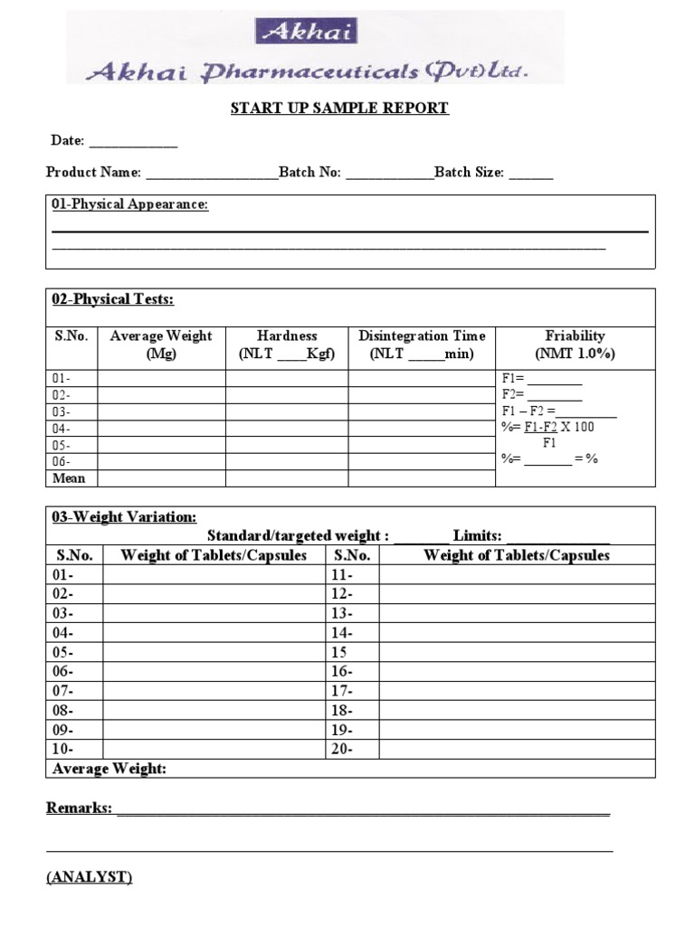 Start Up Sample Report | PDF