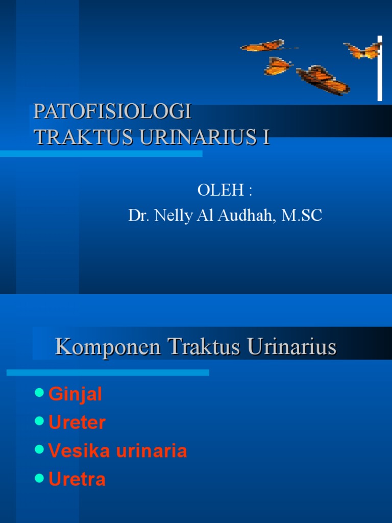 Patofisiologi Traktus Urinarius I | PDF