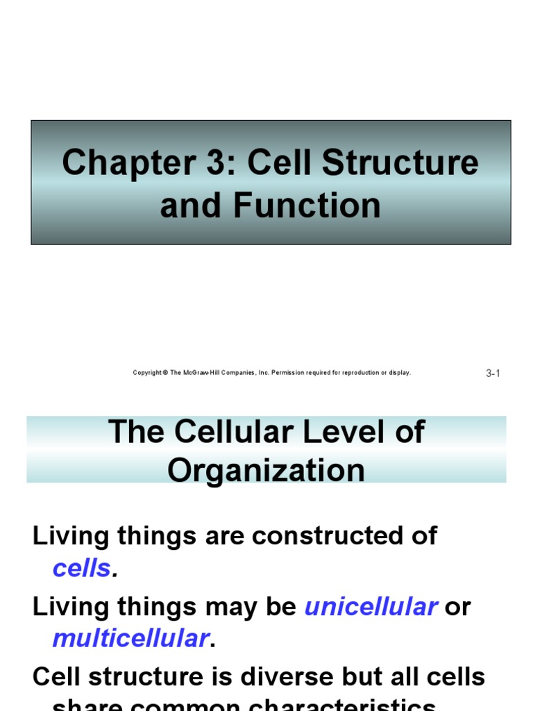 Chapter 3: Cell Structure and Function | PDF | Endoplasmic Reticulum ...