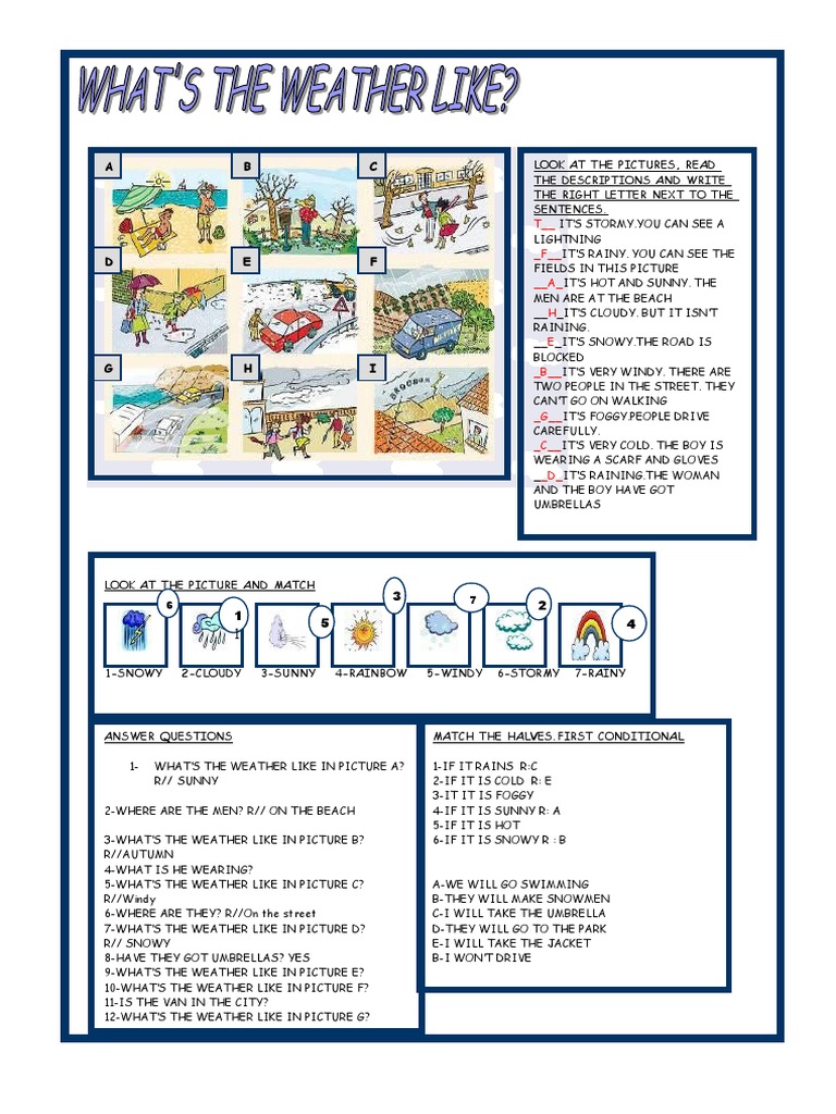 Quiz Whats The Weather Like | PDF | Weather | Nature