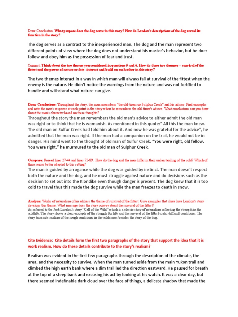 Quiz | PDF | The Call Of The Wild