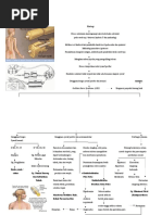 Pathway Syok Sepsis | PDF