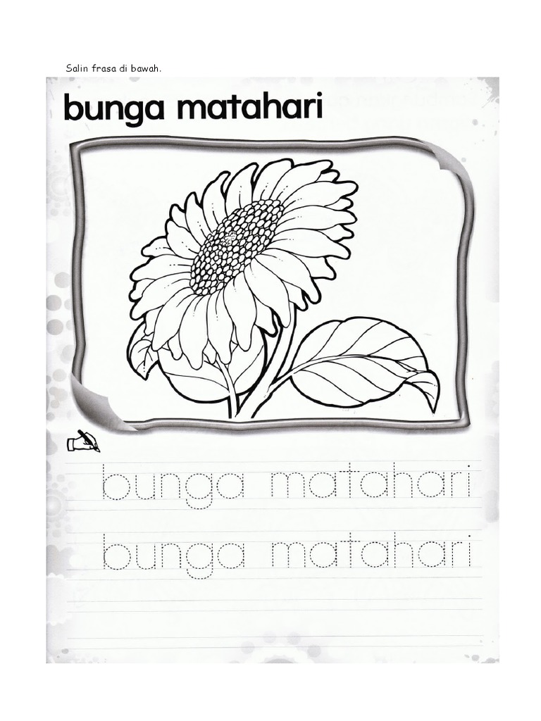 lembaran kerja sains tema bunga prasekolah - Faith Hunter