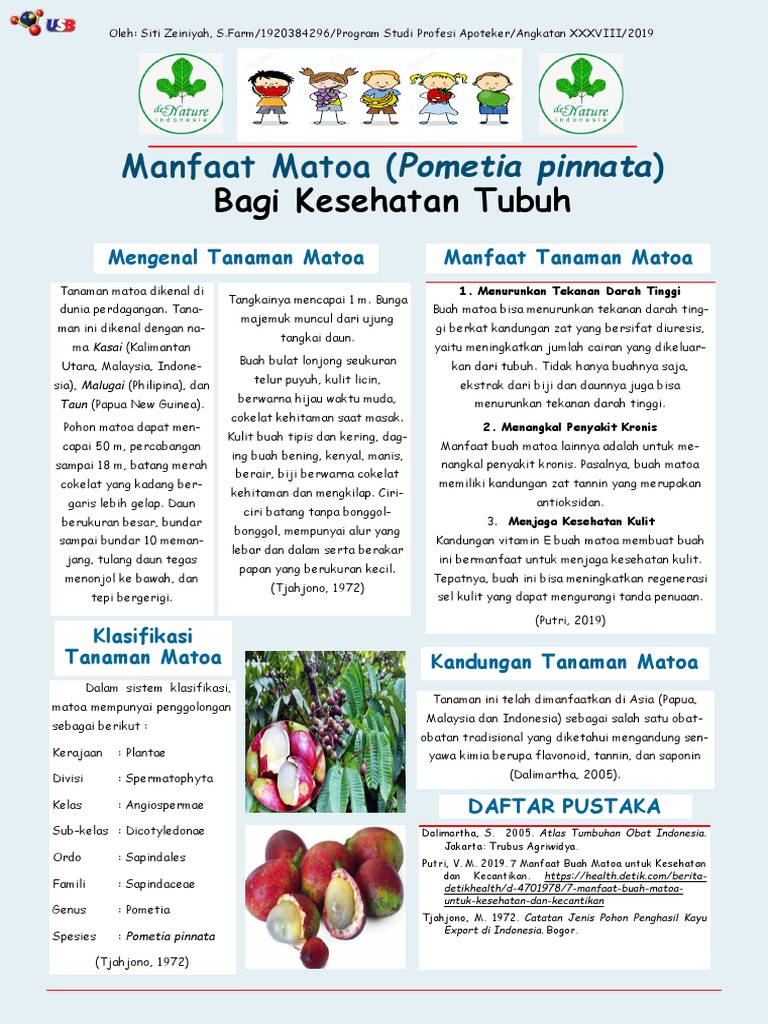 Artikel Tanaman Matoa - Siti Zeiniyah - 1920384296 | PDF