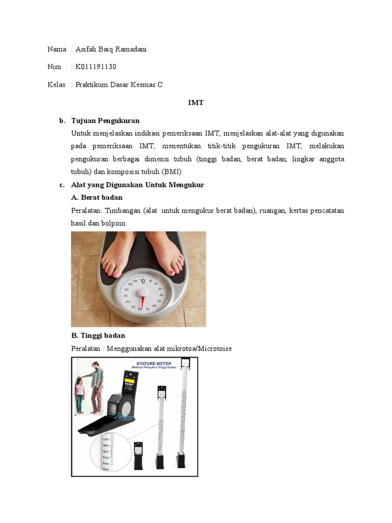 IMT (Indeks Massa Tubuh) | PDF