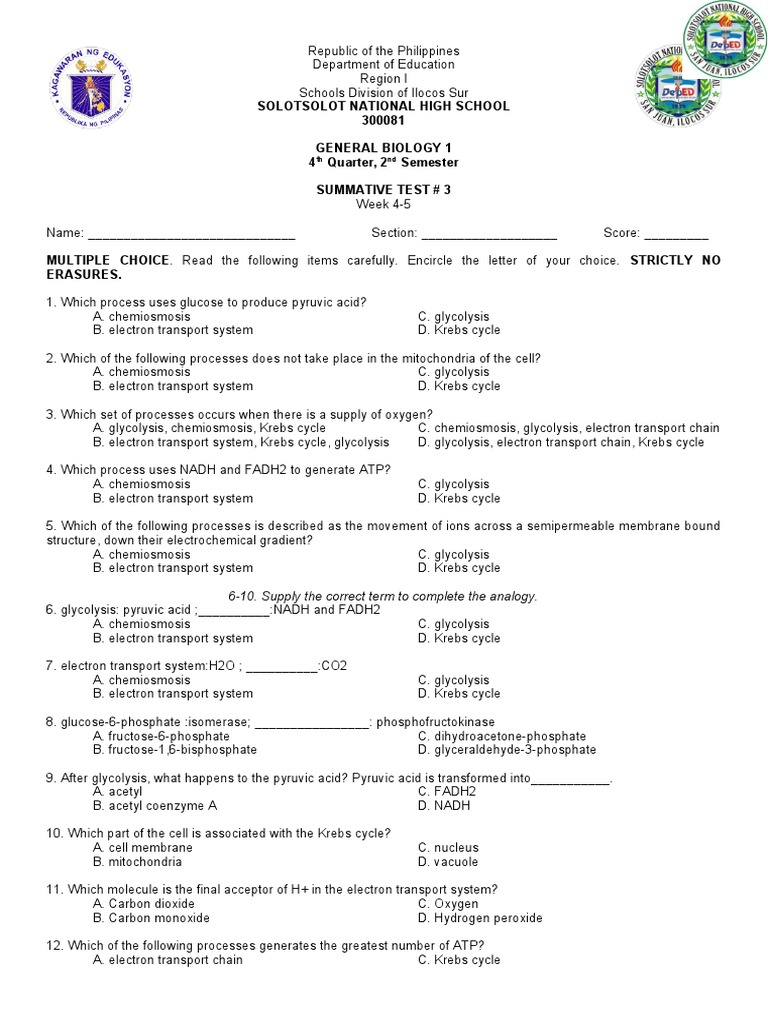 Summative Test #3 Gen Bio | PDF | Cellular Respiration | Electron ...