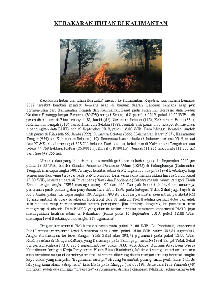 Kebakaran Hutan Di Kalimantan | PDF | Sains & Matematika | Teknologi & Rekayasa