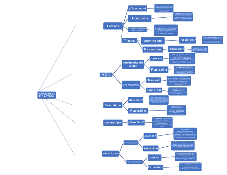 Conceptos básicos sobre genes, ADN y variaciones genéticas | PDF | Genotipo | Gene