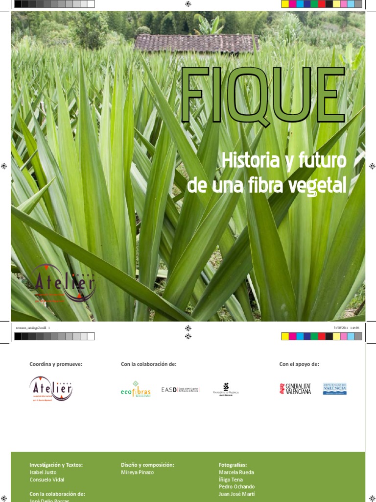 Historia y futuro del fique en Colombia | PDF | Telar | Colombia