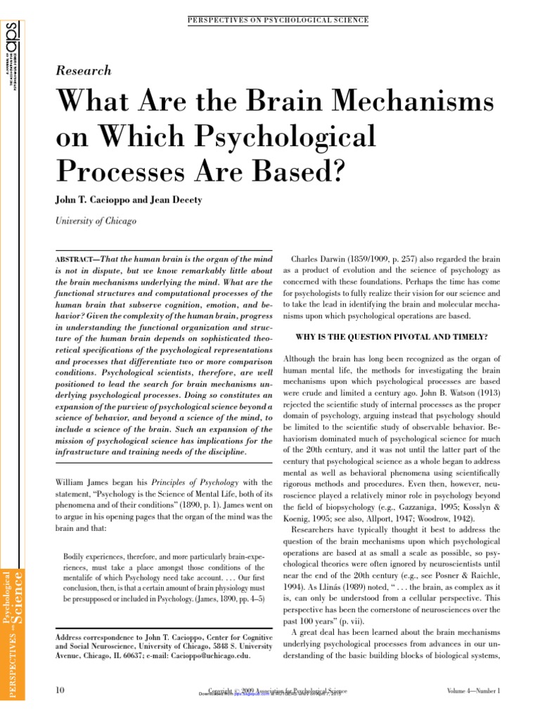 What Are The Brain Mechanisms On Which Psychological Processes Are ...