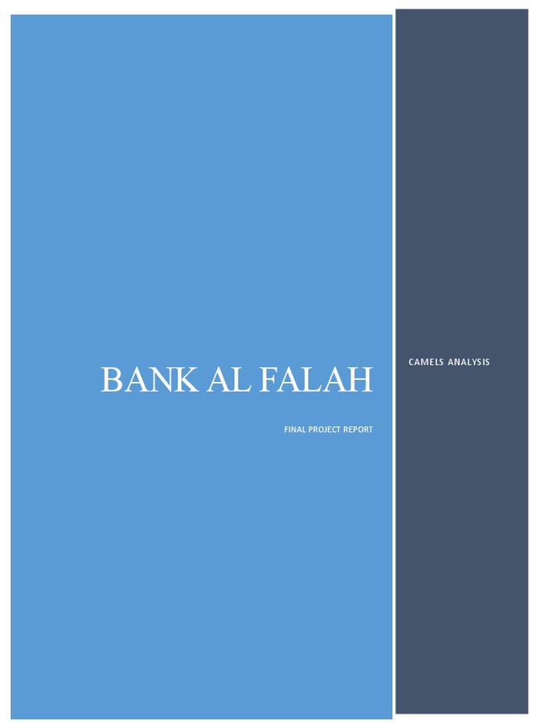 Camel Rating Scale Final Project | PDF | Banks | Financial Services