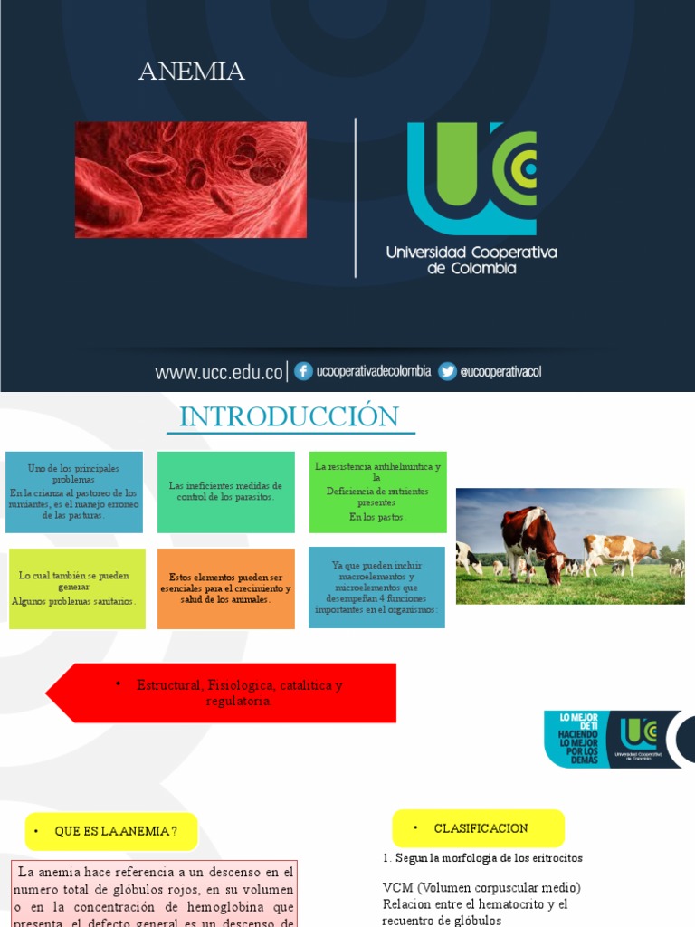 Anemia en bovinos al pastoreo: causas, diagnóstico y tratamiento | PDF ...