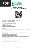 Llenado Op5 Op7 | PDF | Pasaporte | México