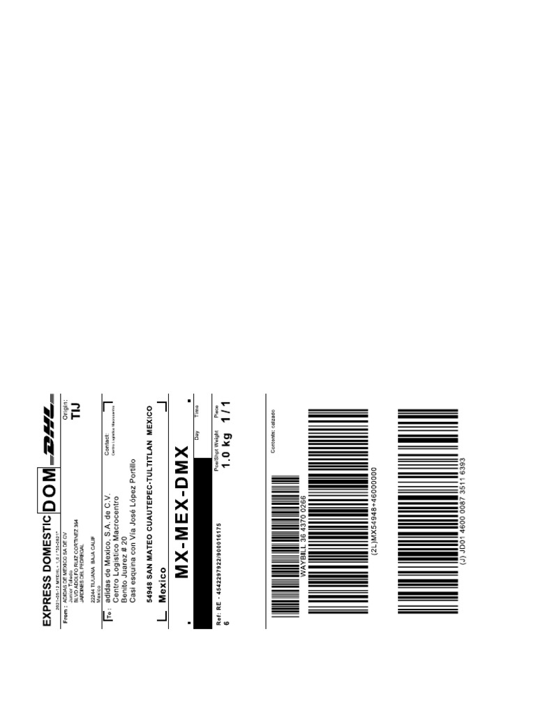 Guias DHL | PDF