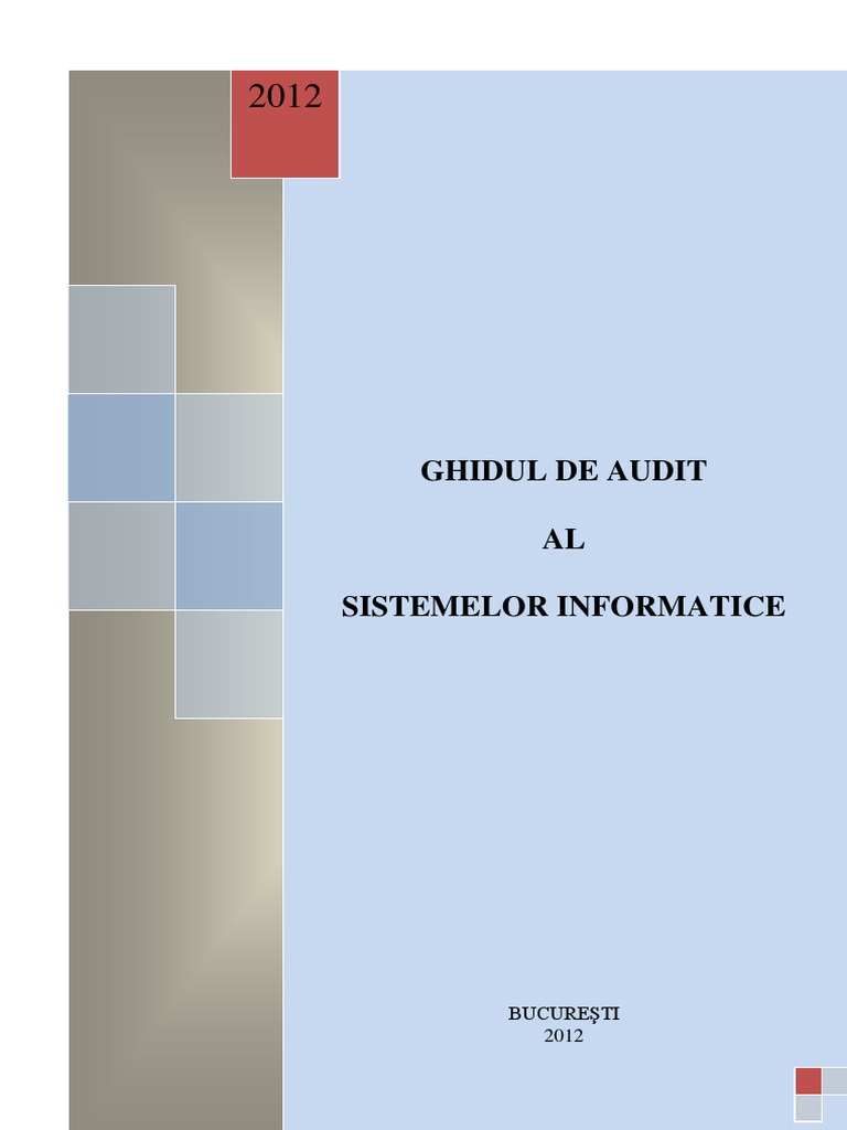 Ghid Audit | PDF