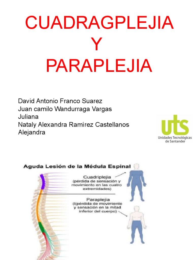 Cuadraplejia y Paraplejia | PDF | Lesión de la médula espinal ...