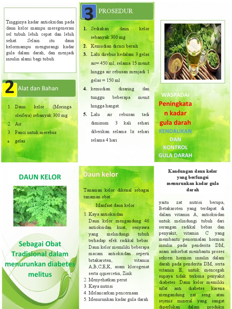 Leaflet Daun Kelor | PDF
