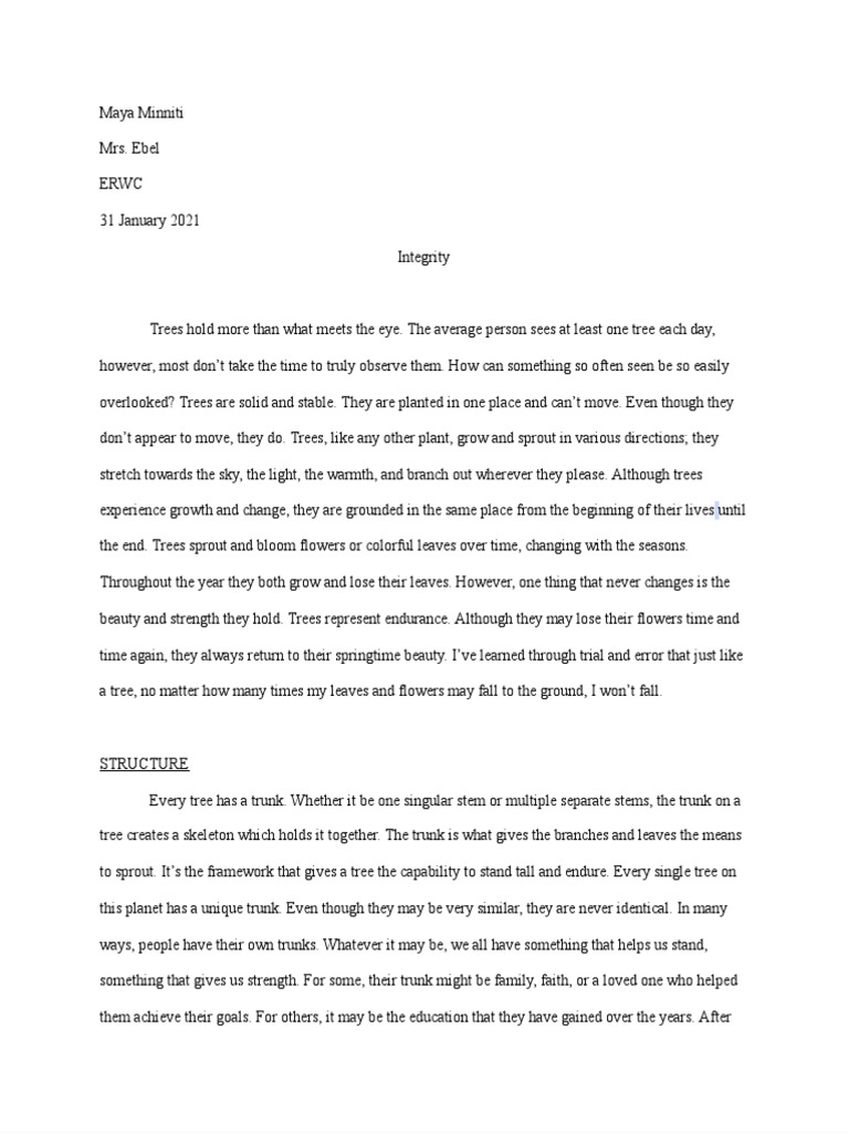 Integrity Essay | PDF | Trees | Leaf