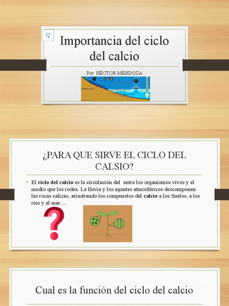 Importancia Del Ciclo Del Calcio | PDF