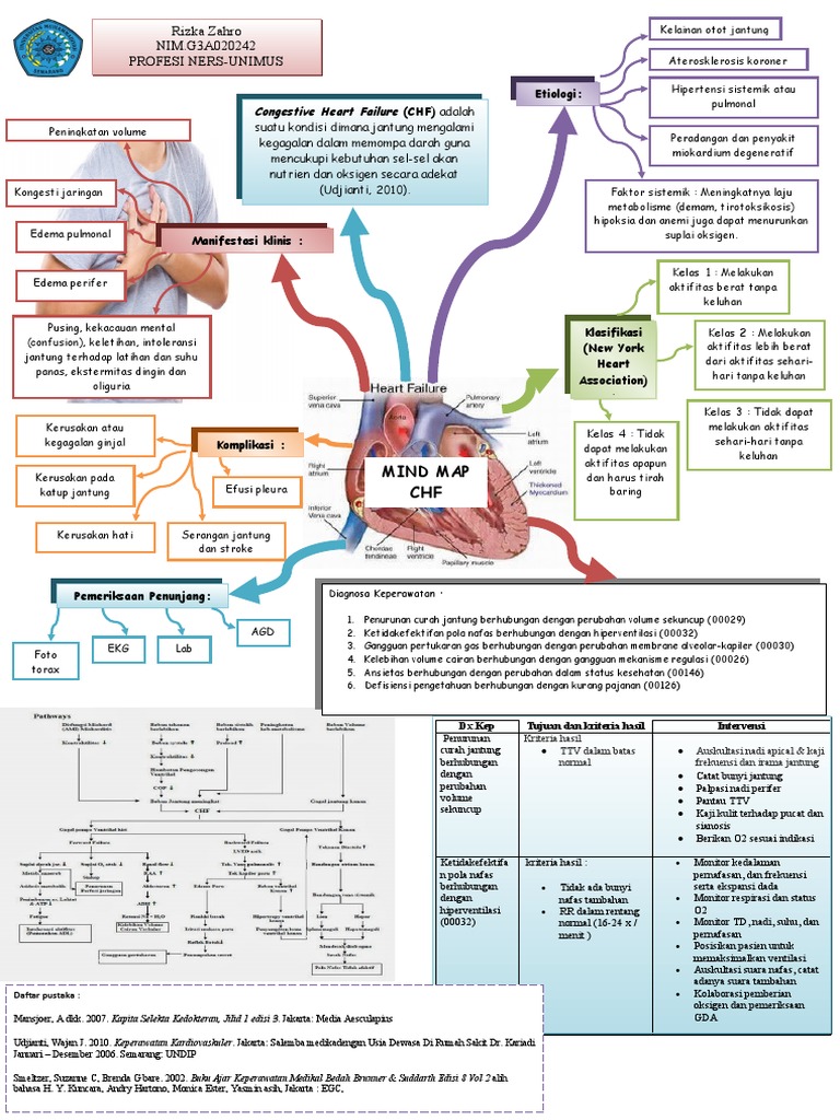 Mind Map CHF | PDF