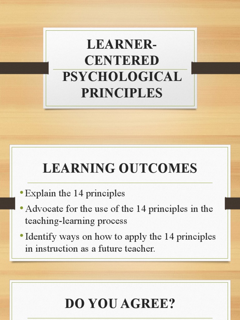 14 Learner-Centered Principles Explained | PDF | Metacognition | Motivation