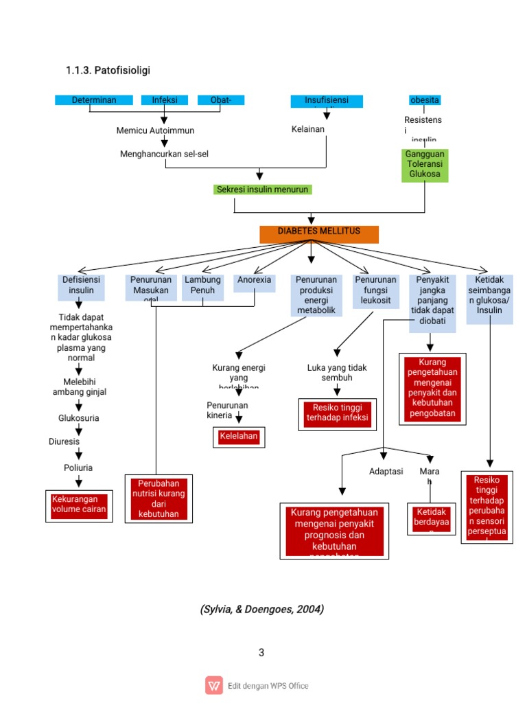 Patofisiologi DM | PDF