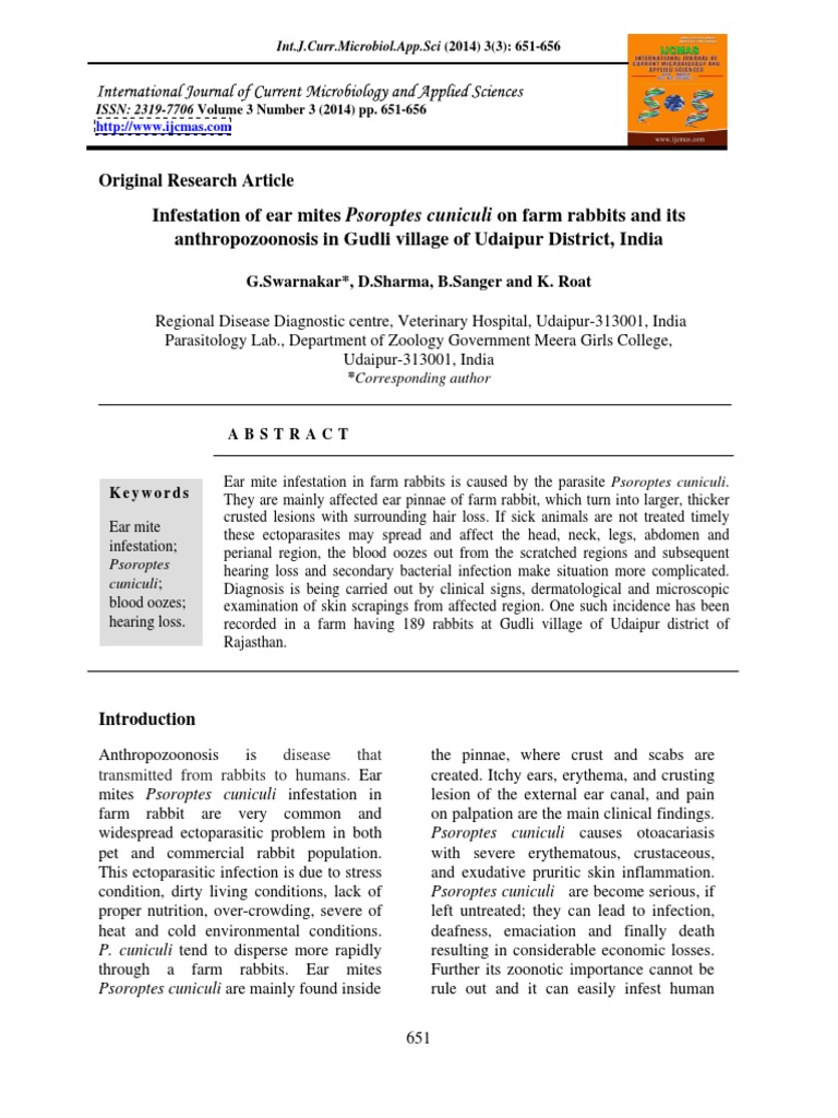 Infestation of Ear Mites Psoroptes Cuniculi On Farm Rabbits | PDF ...