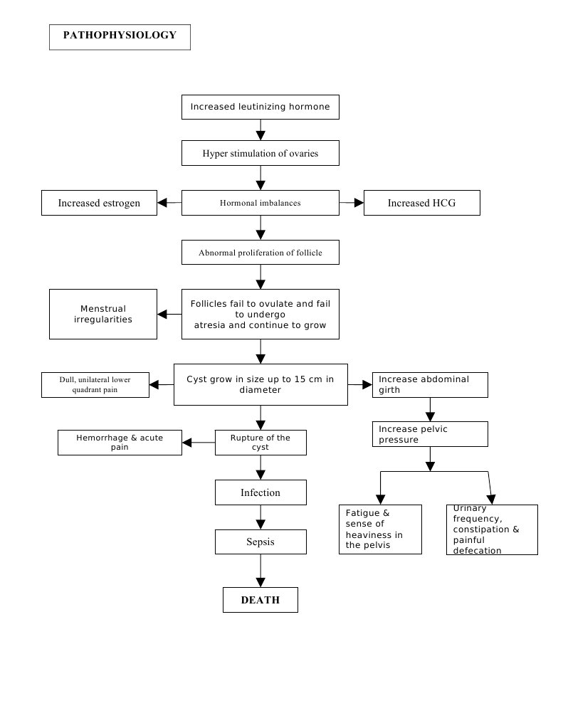 PATHOPHYSIOLOGY OVARIAN CYST