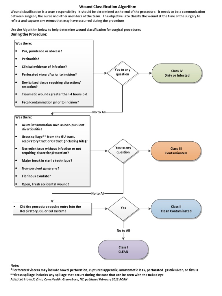 Wound Class Algorithm | PDF | Surgery | Wound