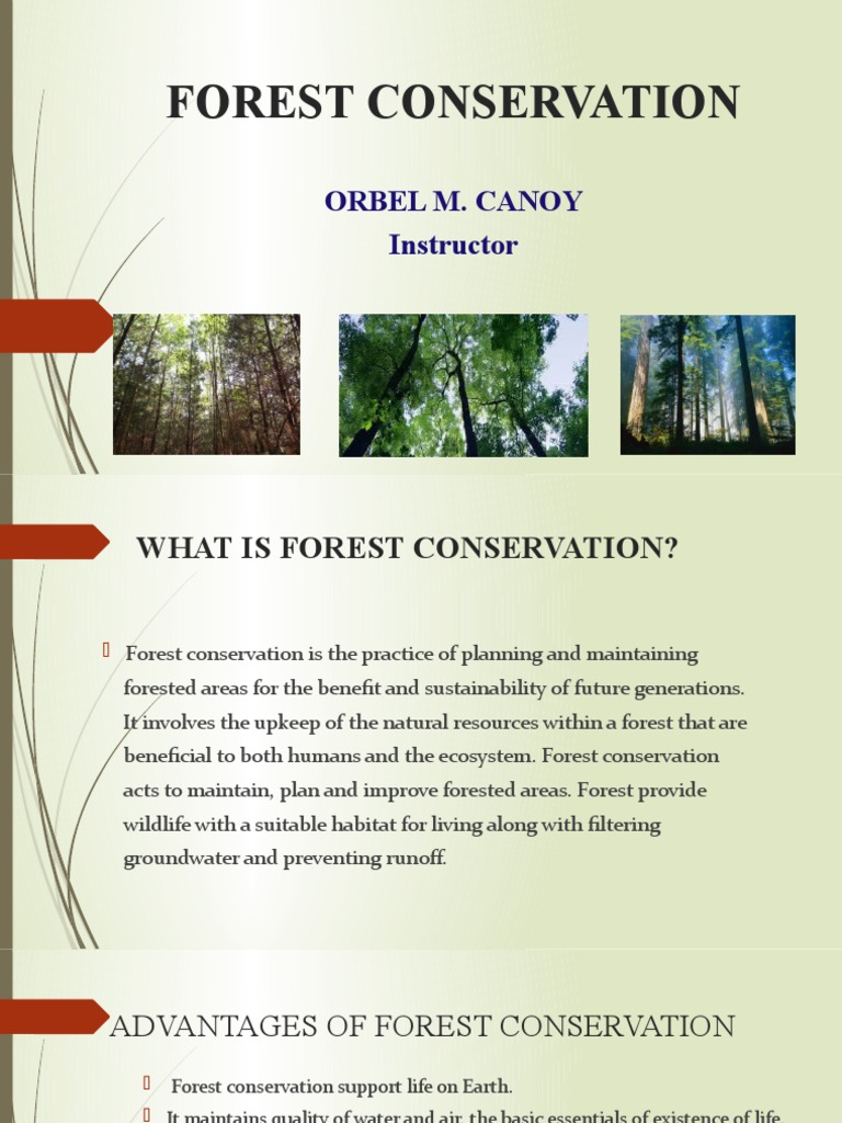 Forest Protection and Conservation | PDF | Conservation Biology | Forestry