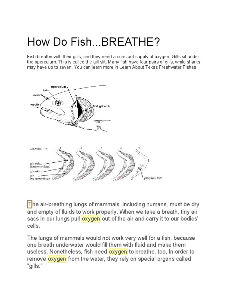 How Do Fish | PDF