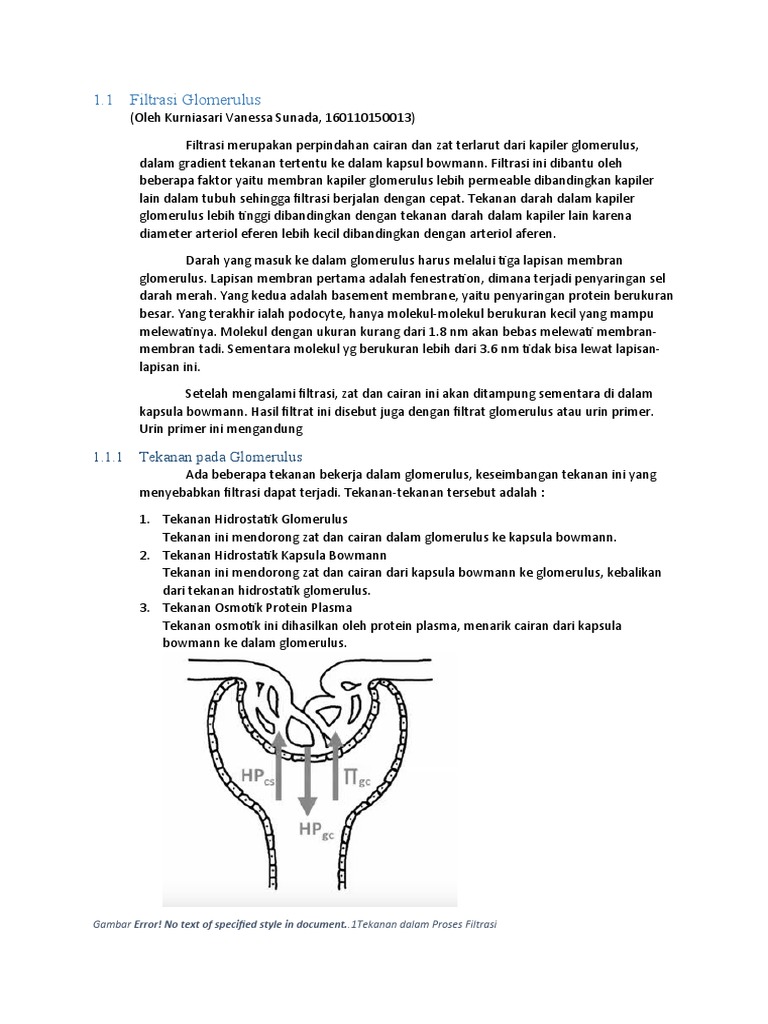 Filtrasi Glomerulus | PDF | Sains & Matematika