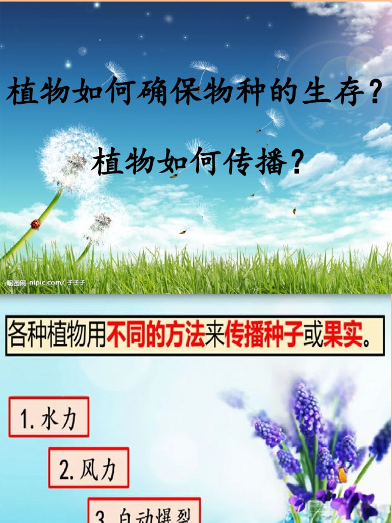 植物如何确保物种生存 | PDF