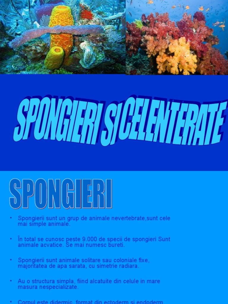 Spongieri Si Celenterate | PDF