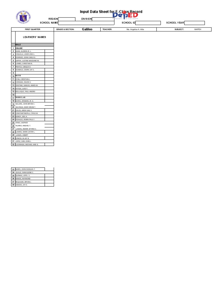 Input Data Sheet For E-Class Record: Galileo | PDF