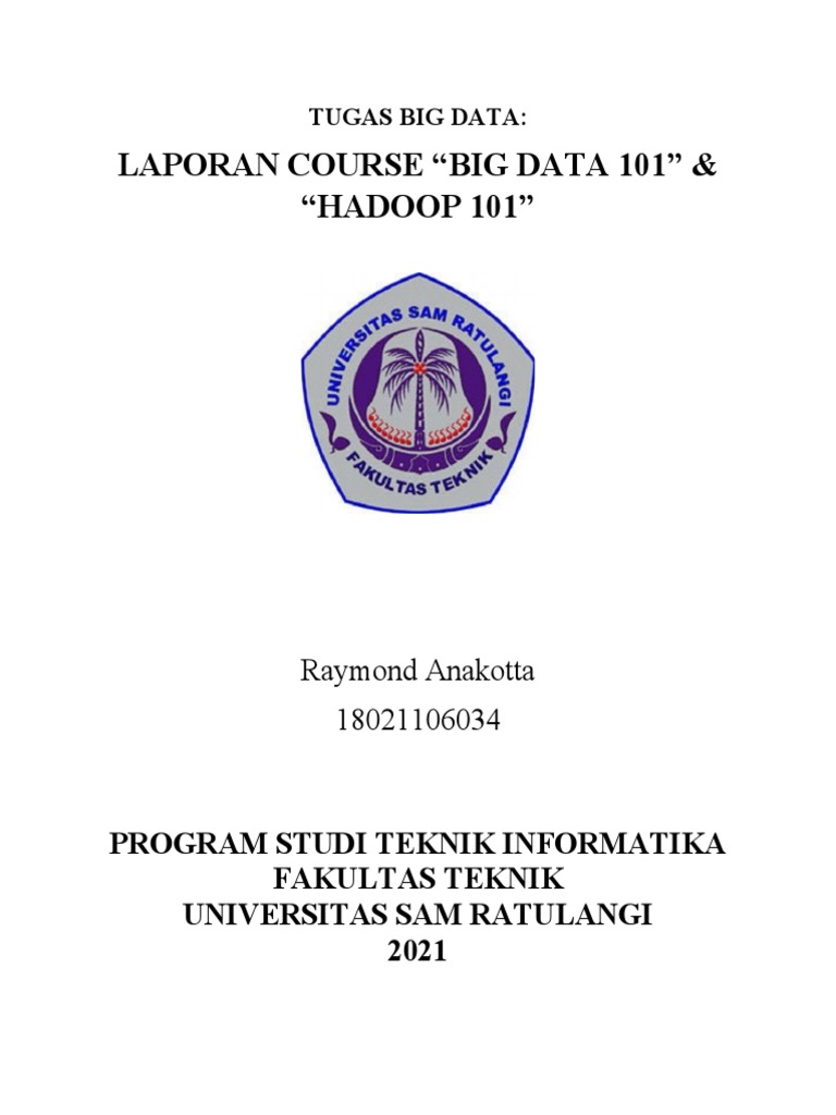 Essay Big Data 101 | PDF