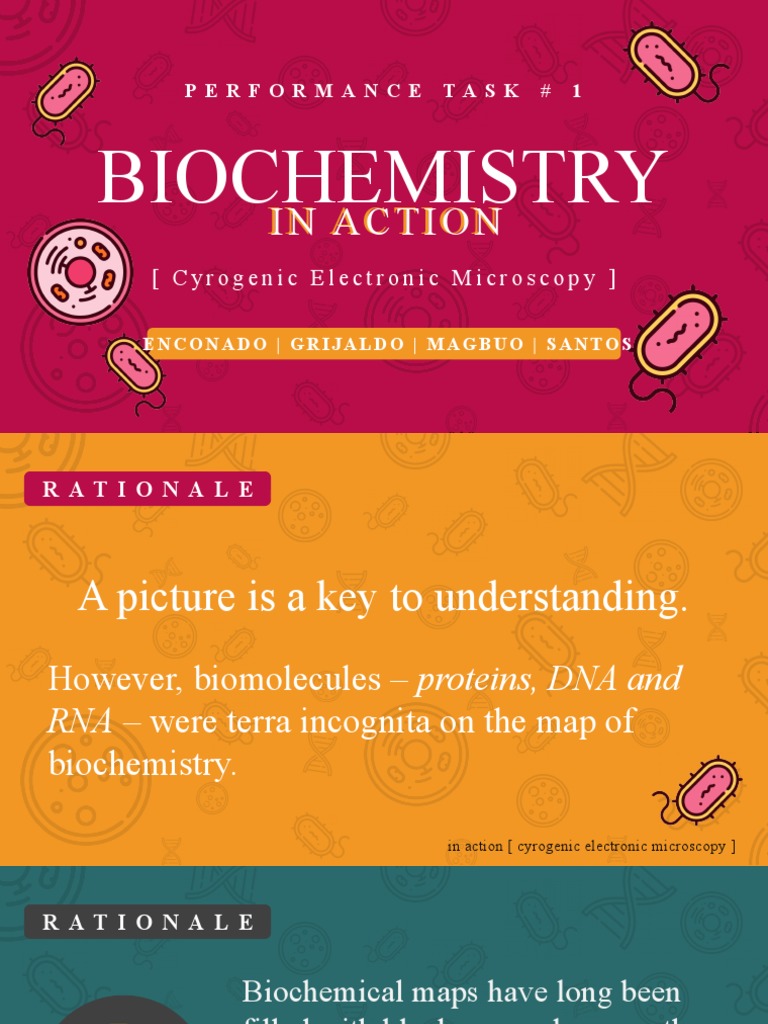 Bses27 Performance Task 1 | PDF | Microscope | Electron Microscope
