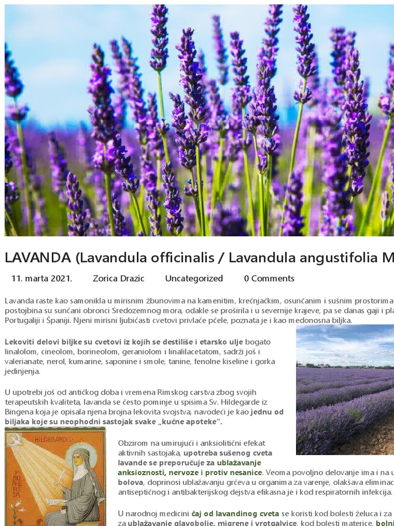 LAVANDA (Lavandula Officinalis - Lavandula Angustifolia Mill.) | PDF