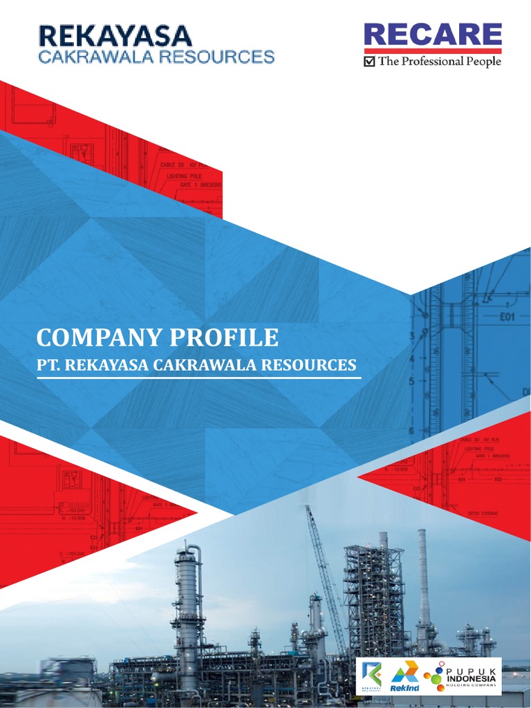 Company Profile RECARE | PDF