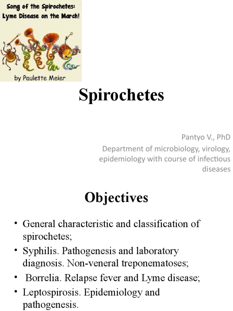 Spirochetes: Pantyo V., PHD Department of Microbiology, Virology ...