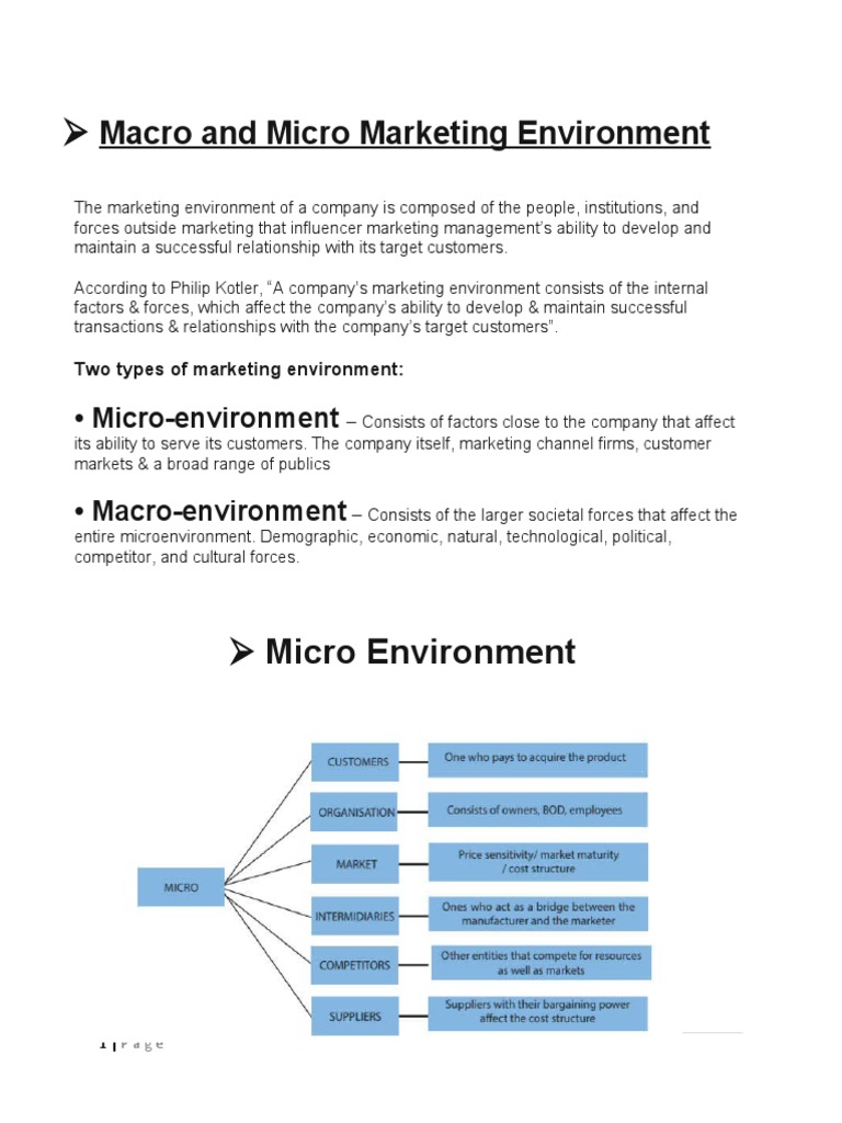 Macro and Micro Marketing Environment | PDF | Marketing | Market ...
