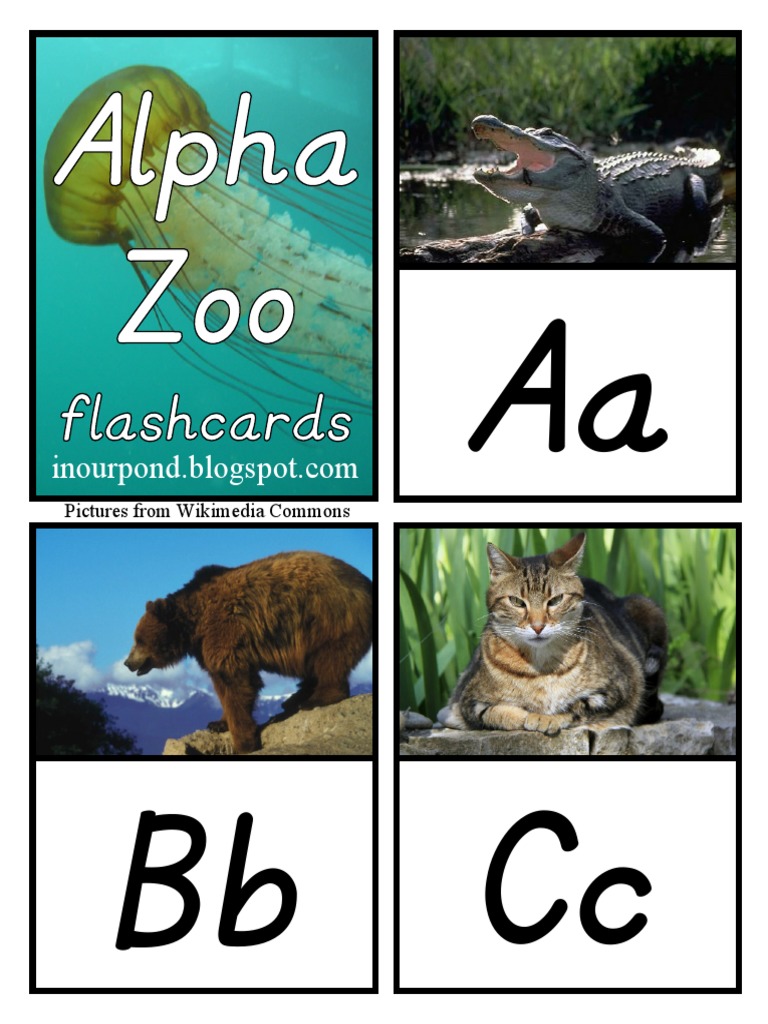 Aa CC BB: Alpha Zoo | PDF