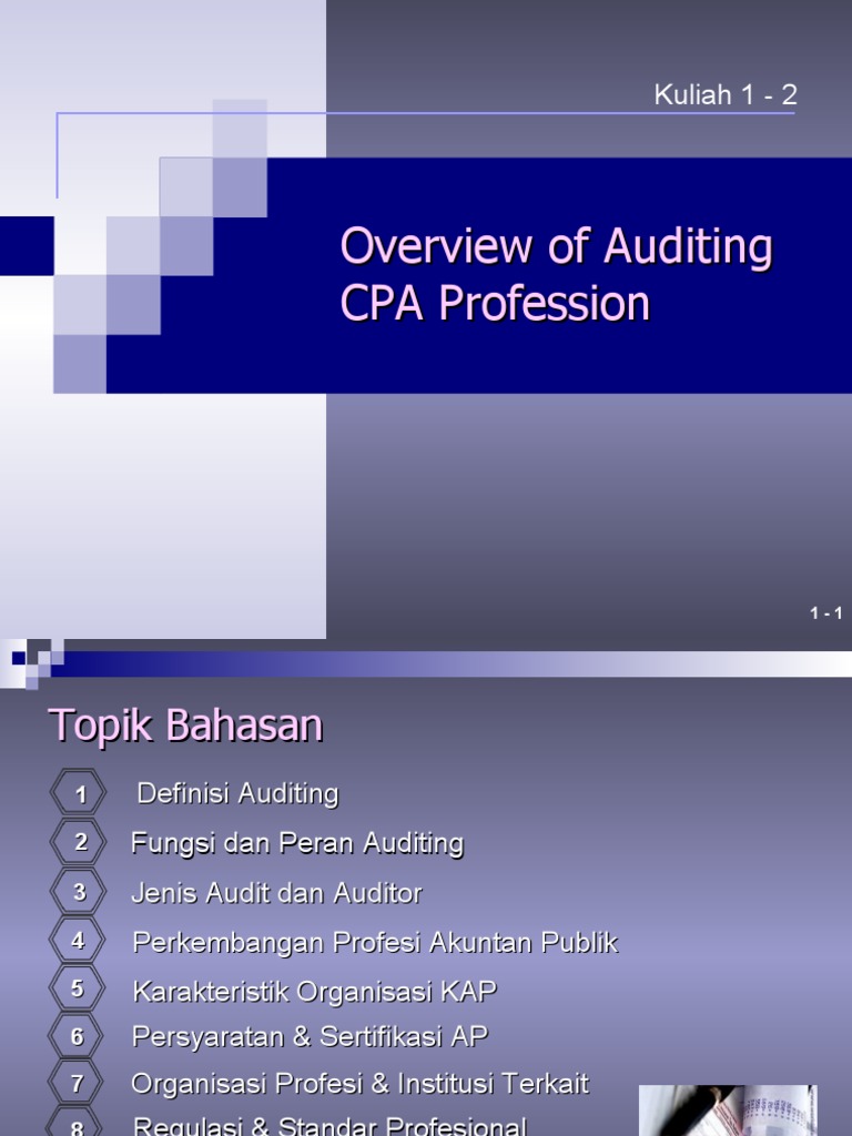Overview of Auditing The CPA Profession | PDF | Audit | Financial Statement