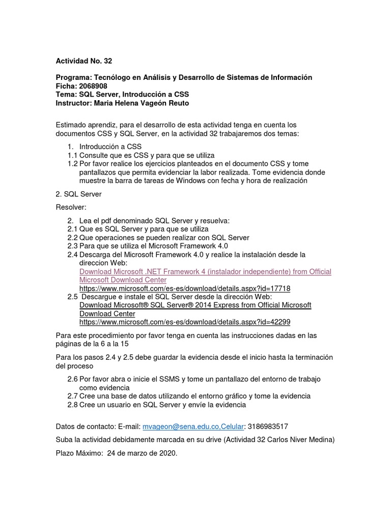 Actividad No 32 SQL SERVER CSS | PDF