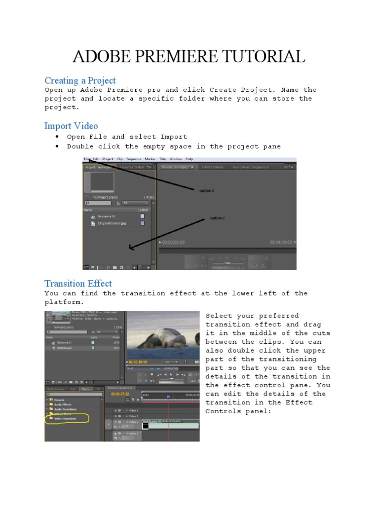 An Introduction to the Fundamental Tools and Techniques of Adobe ...