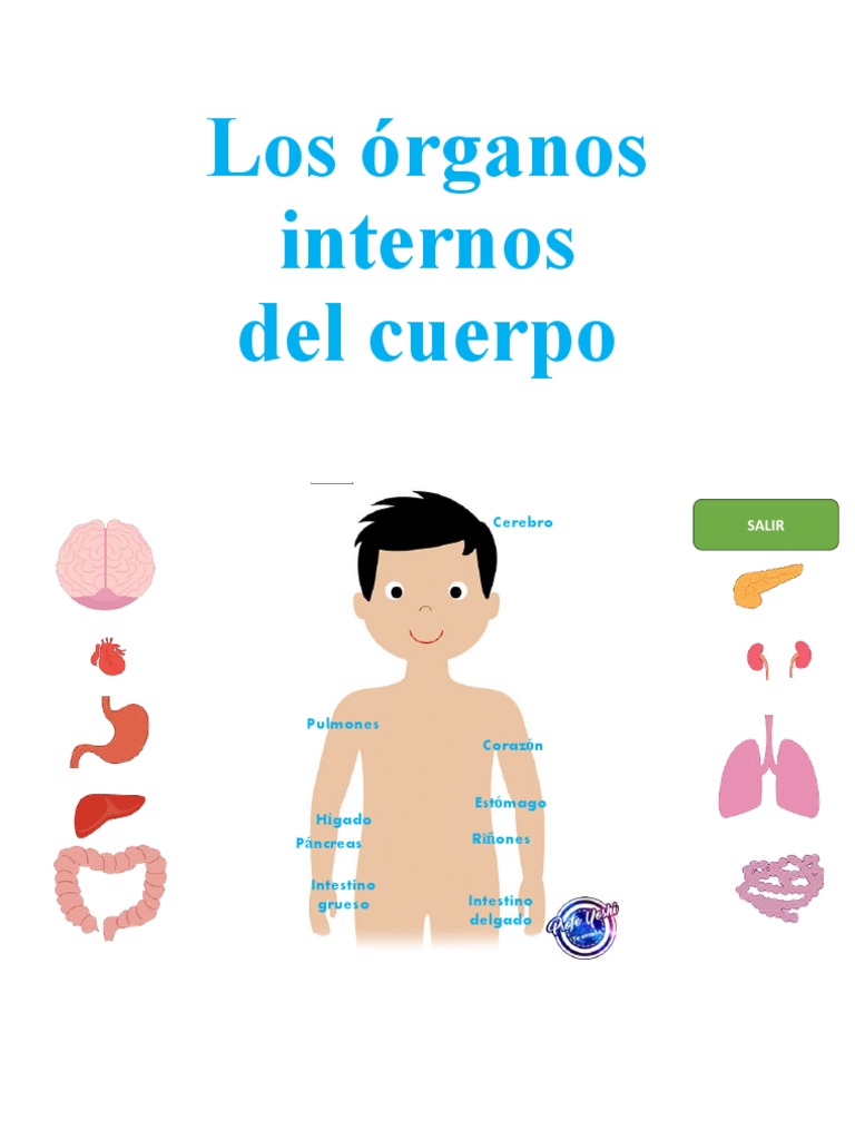 Presentacion de Los Organos Del Cuerpo | PDF | Relaciones personales ...