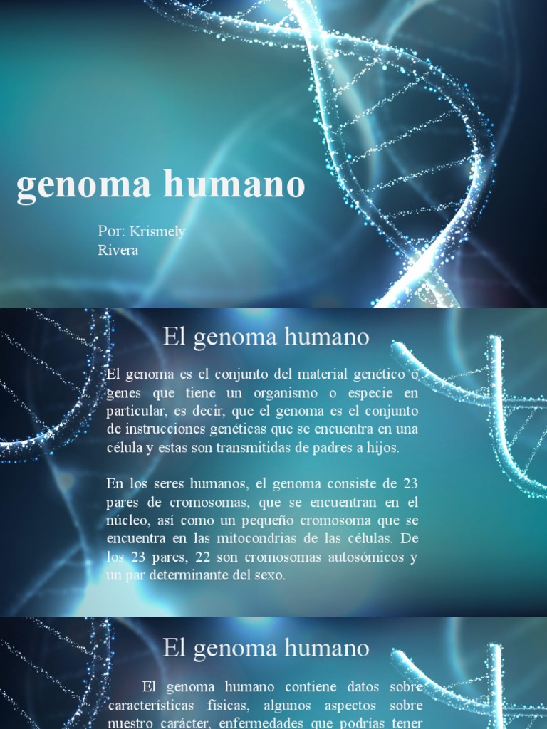El Genoma Humano | PDF | Genoma humano | Genoma