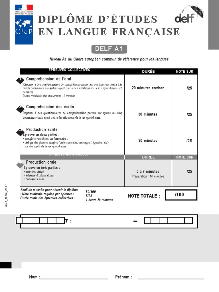 DELF A1 : Guide de l'examen linguistique | PDF