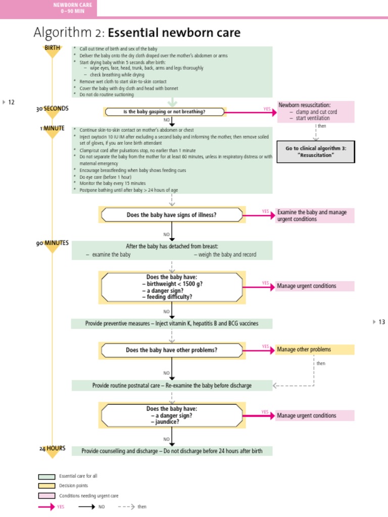 Algorithm 2: Essential Newborn Care: Birth | PDF | Breastfeeding | Infants
